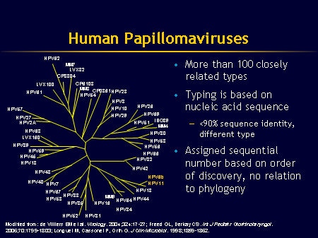 Recurrent Respiratory Papillomatosis: High-Risk Consequences of Low ...