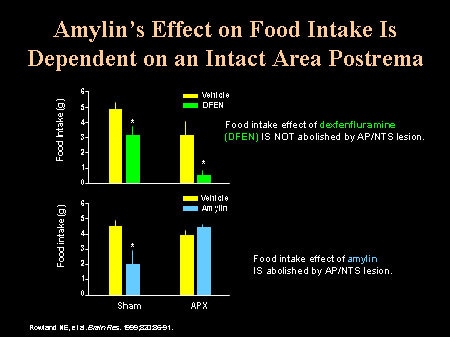 Gut Signals and Energy Balance: Ghrelin, Peptide YY, Leptin, and Amylin ...