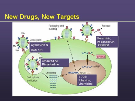 Update on Treatment of Influenza (Slides With Transcript)