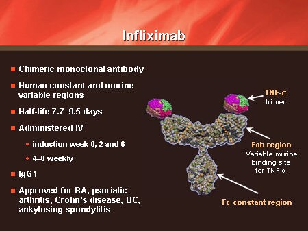 Factors Influencing Selection of Anti-TNF-α Therapy (Slides With ...