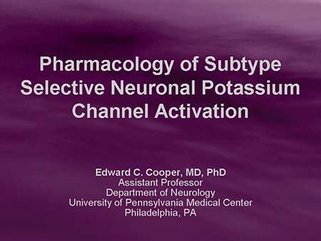 The Role of Potassium Channel Ions in Epilepsy (Slides With Transcript)
