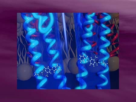 The Role of Potassium Channel Ions in Epilepsy (Slides With Transcript)