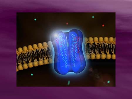The Role of Potassium Channel Ions in Epilepsy (Slides With Transcript)