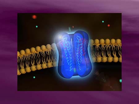 The Role of Potassium Channel Ions in Epilepsy (Slides With Transcript)