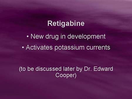 The Role of Potassium Channel Ions in Epilepsy (Slides With Transcript)