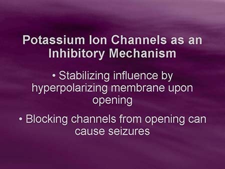 The Role of Potassium Channel Ions in Epilepsy (Slides With Transcript)