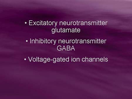 The Role of Potassium Channel Ions in Epilepsy (Slides With Transcript)