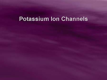 The Role of Potassium Channel Ions in Epilepsy (Slides With Transcript)