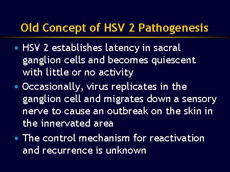 Pathophysiology and Epidemiology of Herpes Simplex Virus Infection ...