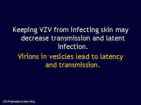 Maintaining Protection Against Chickenpox: An Update on Varicella ...