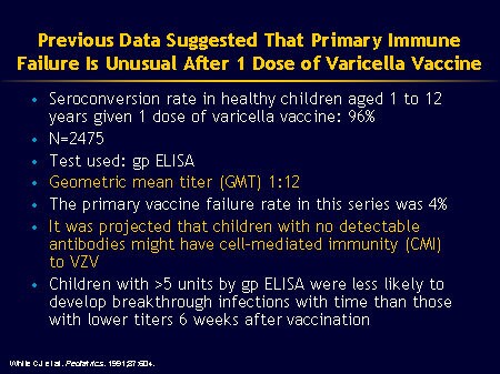 Maintaining Protection Against Chickenpox: An Update on Varicella ...