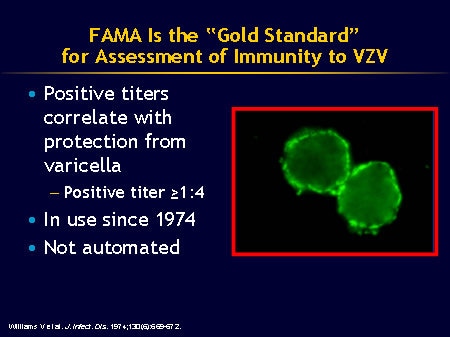 Maintaining Protection Against Chickenpox: An Update on Varicella ...