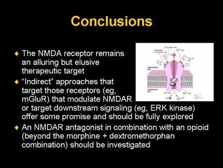 Recent Findings in NMDA Receptor Research and Its Impact on the ...