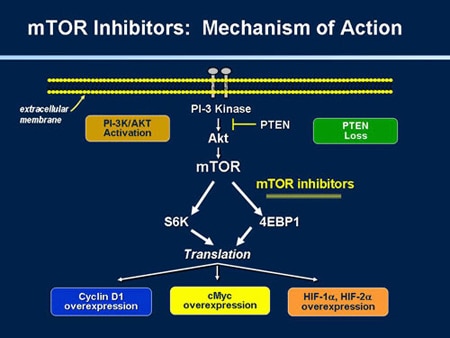 Targeted Therapies in Advanced Renal Cell Carcinoma (Slides With ...