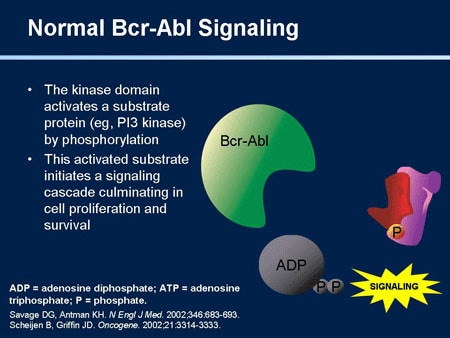 New Advances in the Treatment of Chronic Myelogenous Leukemia (Slides ...