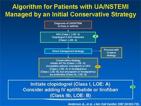 2007 ACC/AHA UA/NSTEMI Revised Guidelines (Slides With Transcript)