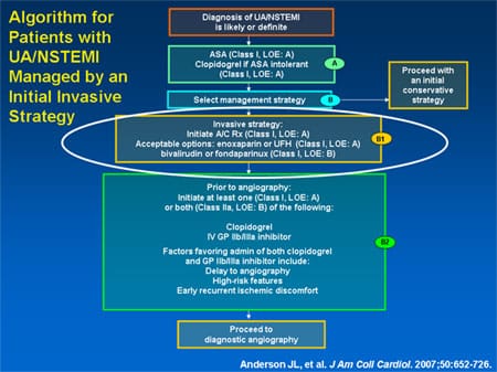 2007 ACC/AHA UA/NSTEMI Revised Guidelines (Slides With Transcript)