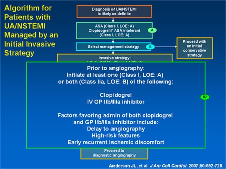 2007 ACC/AHA UA/NSTEMI Revised Guidelines (Slides With Transcript)