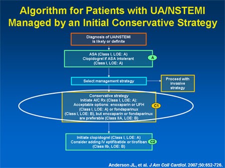 2007 ACC/AHA UA/NSTEMI Revised Guidelines (Slides With Transcript)