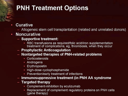 Paroxysmal nocturnal hemoglobinuria therapy - isseholo