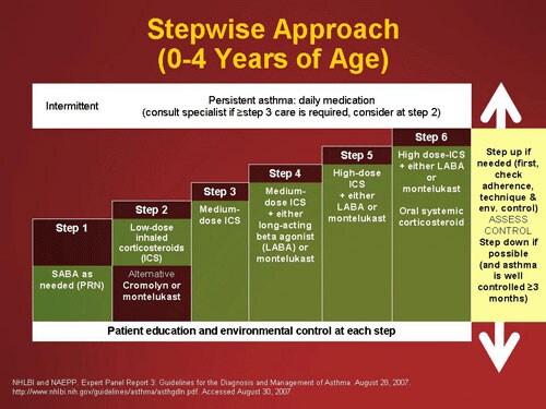 Comprehensive Management of Pediatric Asthma-Guidelines (Slides/Transcript)
