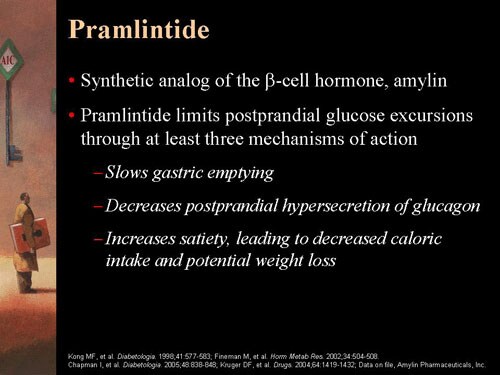 Clinical Value of Pramlintide Adjunctive Therapy in T2DM (Slide/Transcript)