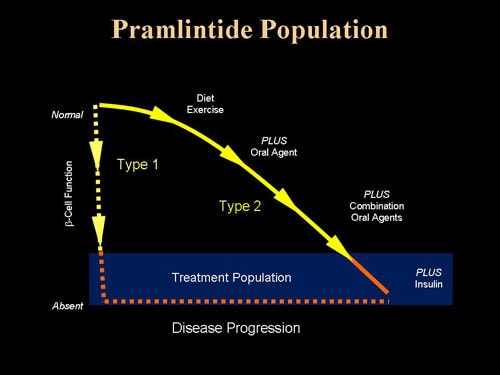 Clinical Value of Pramlintide Adjunctive Therapy in T2DM (Slide/Transcript)