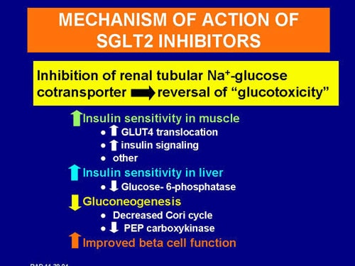 Pharmacotherapeutic SGLT2 Inhibition--Improve Glycemic Control (Transcript)