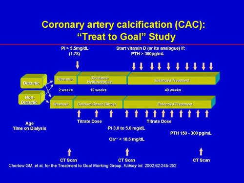 Managing Phosphorus in Chronic Kidney Disease (Slides With Transcript)