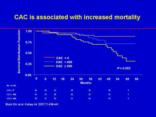 Managing Phosphorus in Chronic Kidney Disease (Slides With Transcript)
