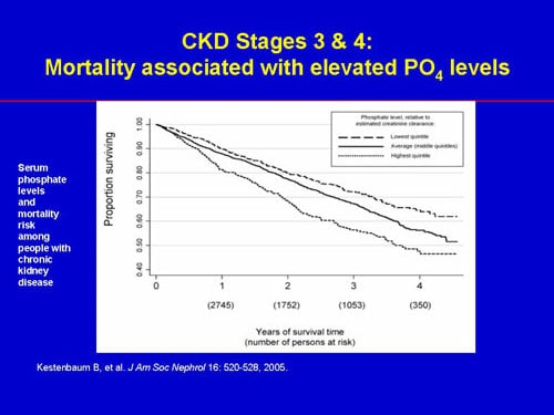 Managing Phosphorus in Chronic Kidney Disease (Slides With Transcript)