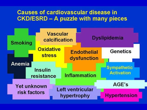 Sudden Cardiac Death in CKD Patients (Slides With Transcript)