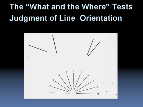Estrogen, Growth, and Cognition (Slides With Transcript)