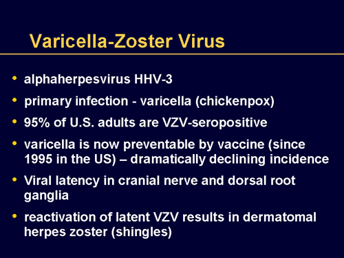 Understanding Herpes Zoster and the Herpes Zoster Vaccine (Slides With ...