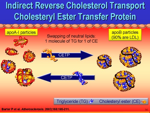 Managing Dyslipidemia: The Triglyceride/HDL Axis (Slides with Transcript)