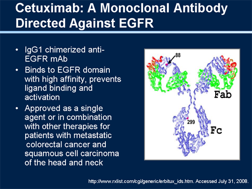 NCCN Clinical Practice Guidelines in Oncology Symposium: NSCLC (Transcript)