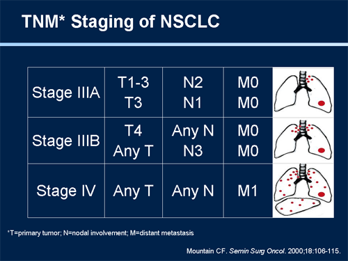 NCCN Clinical Practice Guidelines in Oncology Symposium: NSCLC (Transcript)