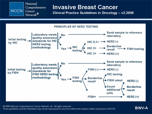 NCCN Clinical Practice Guidelines in Oncology: Breast Cancer (Transcript)