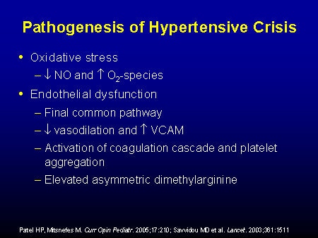 Management of Hypertensive Crisis: Advances in Pathogenesis and ...