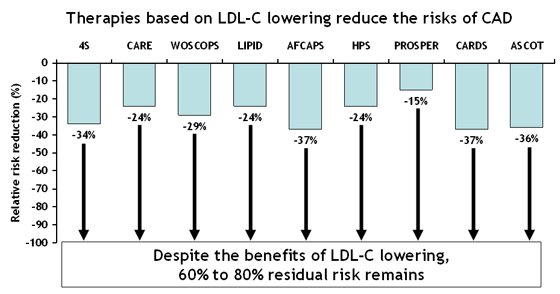 Reducing Residual Cardiovascular Risk: The Role of Raising HDL-C