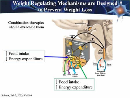 Advances in Neurohormonal Therapy in the Treatment of Obesity (Slides ...