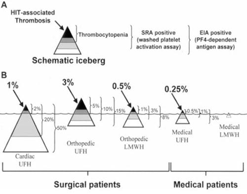 Heparin-Induced Thrombocytopenia: Pathophysiology and Management