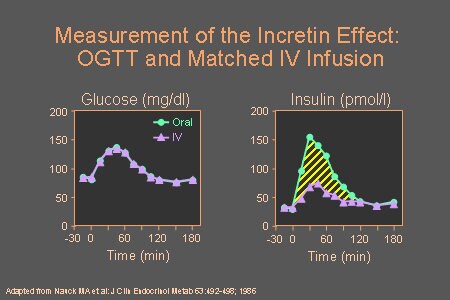 The Impact of Incretin Hormones on Glycemic Control in Type 2 Diabetes ...