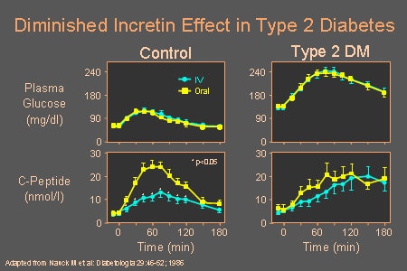 The Impact of Incretin Hormones on Glycemic Control in Type 2 Diabetes ...
