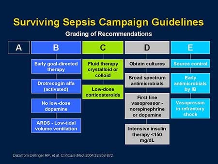 Optimizing the Antibiotic Treatment of the Septic Patient
