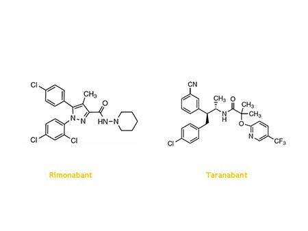 Emerging Strategies for the Clinical Management of Chronic Obesity