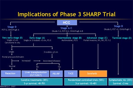 Management of HCC: From Loco-Regional to Molecular-Targeted Therapies ...