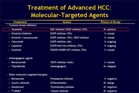Management of HCC: From Loco-Regional to Molecular-Targeted Therapies ...