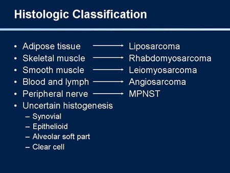 Stay Connected: Update on the Management of Sarcoma (Slides With ...