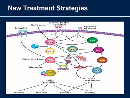 Stay Connected: Update on the Management of Sarcoma (Slides With Transcript)